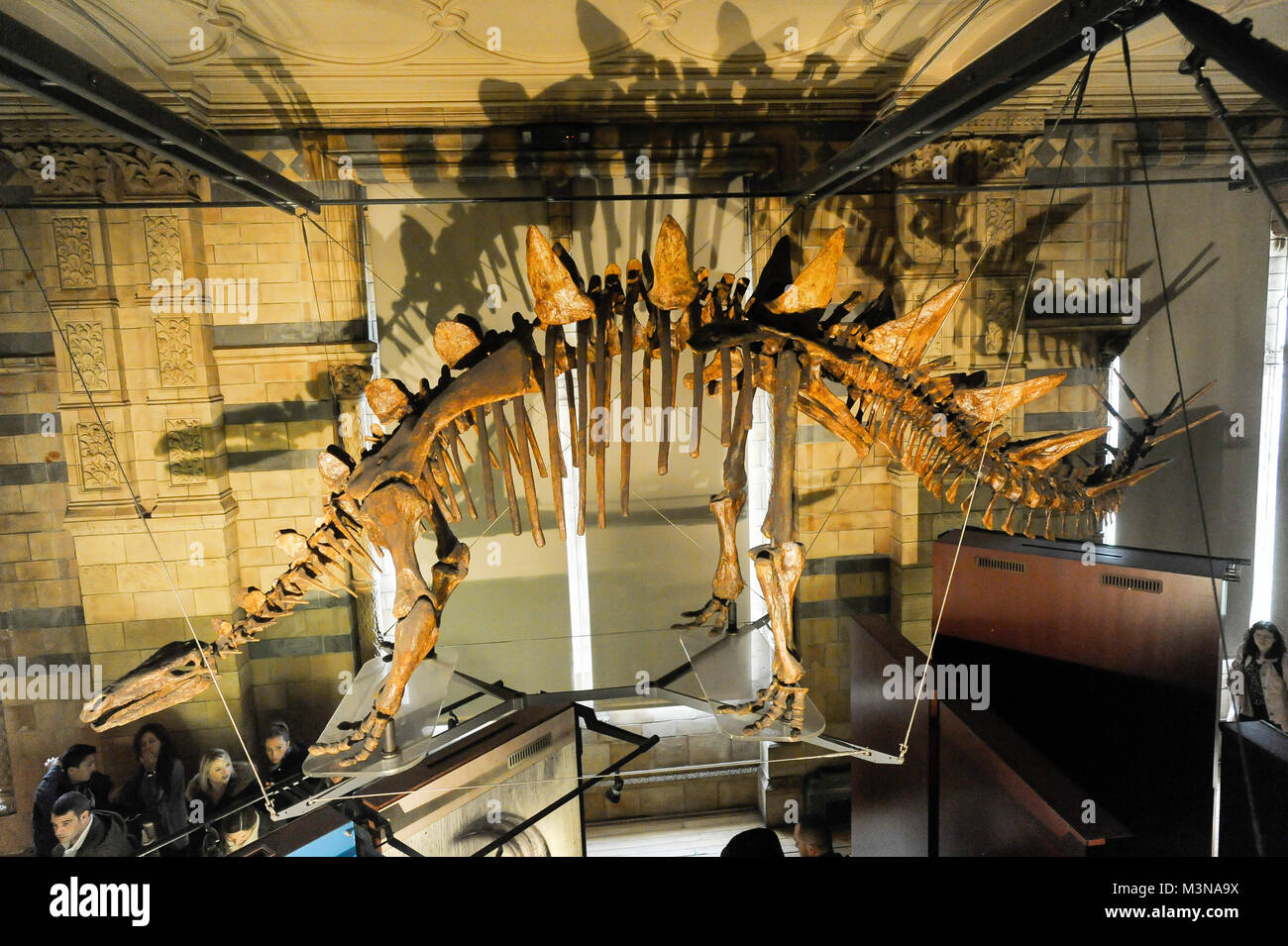 Life size model of dinosaur in Natural History Museum in London ...
