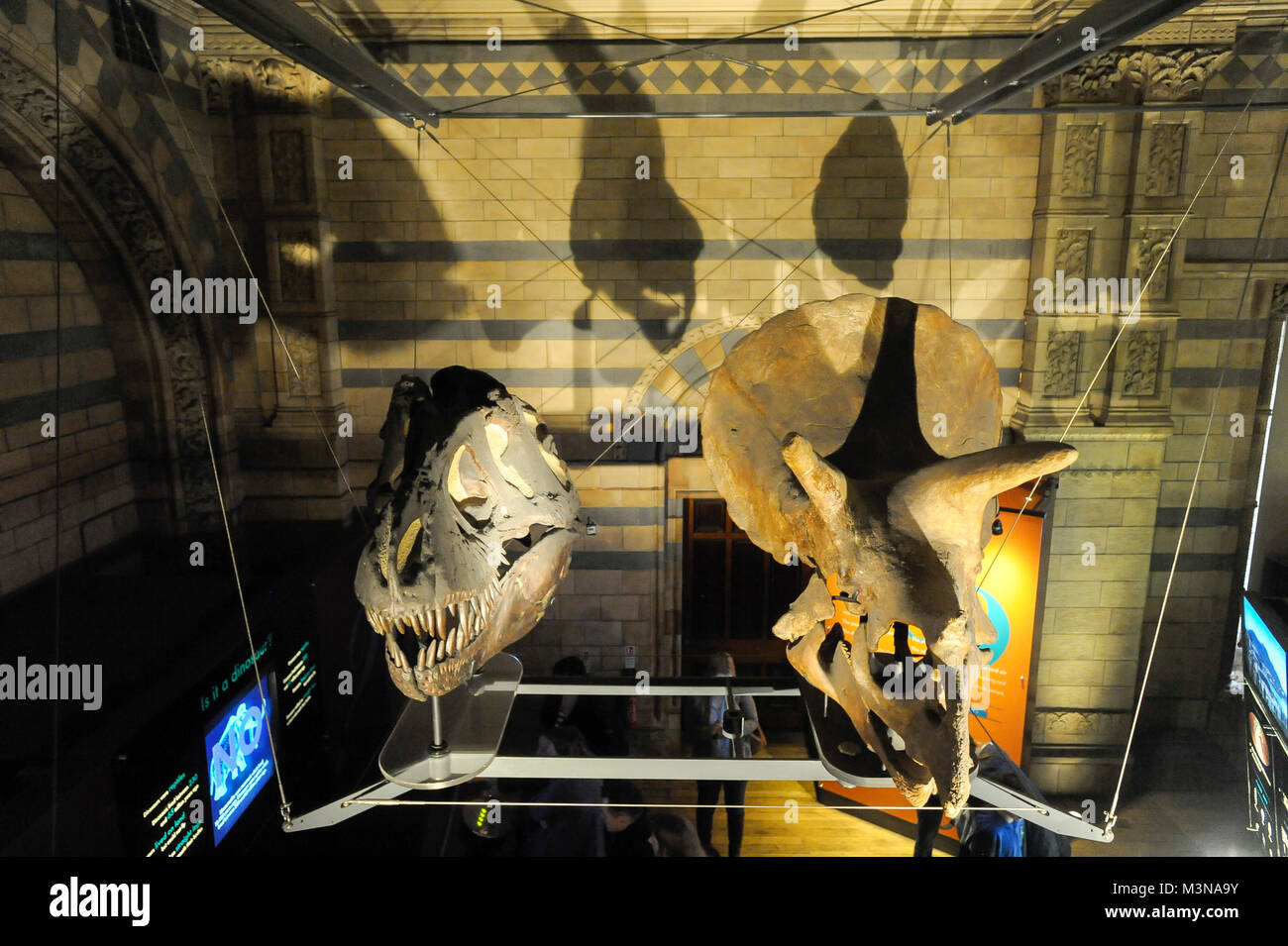Life size model of dinosaur in Natural History Museum in London ...