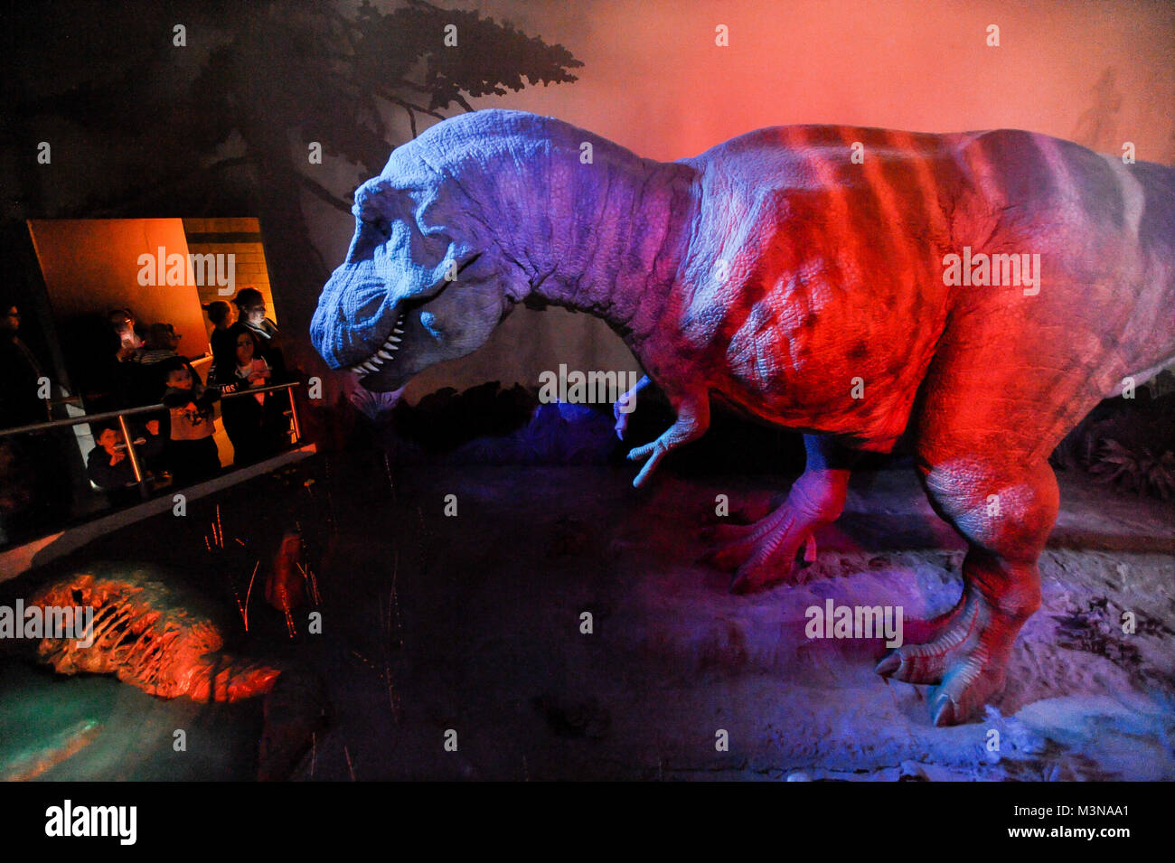 Moving roaring model of a T. rex dinasaur in Natural History Museum in ...