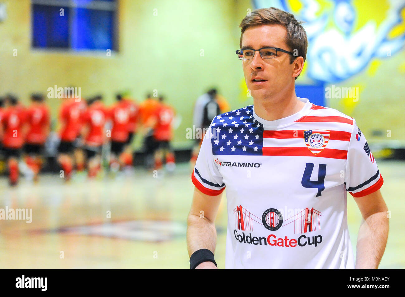 February 10, 2018 - Toronto, Ontario, Canada. Davidsson Martin during ...