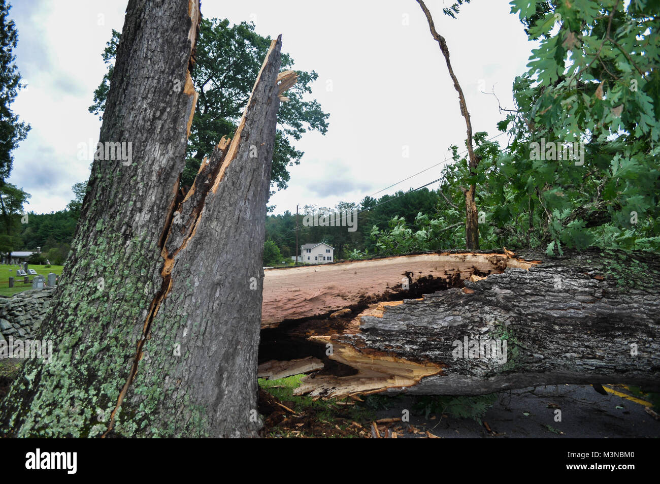Tree hit by lightning hi-res stock photography and images - Alamy