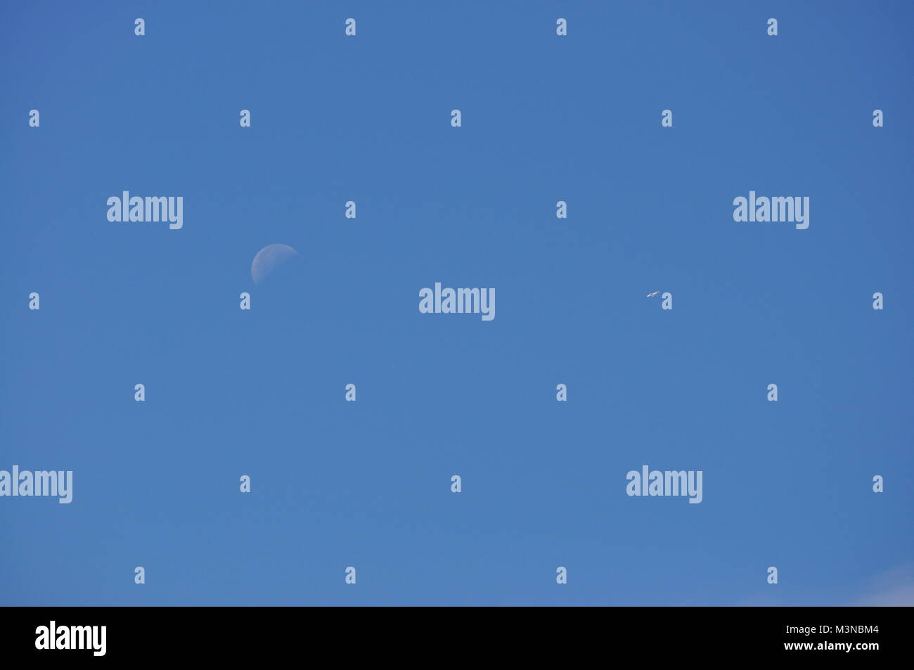 Moon and Distant Plane in a Clear Blue Sky Stock Photo - Alamy