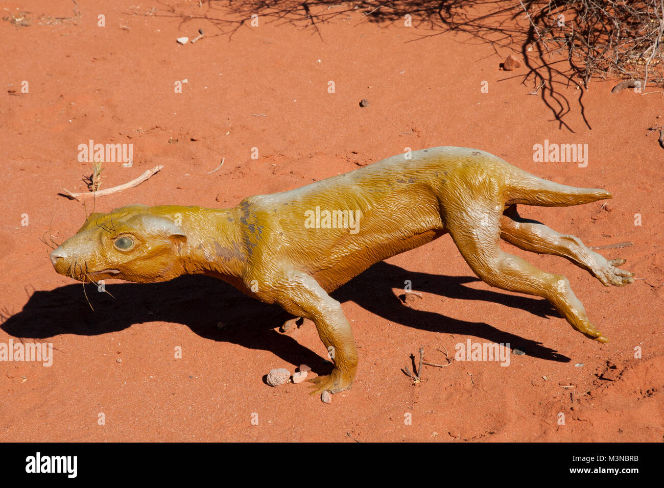 Cynodont hi-res stock photography and images - Alamy