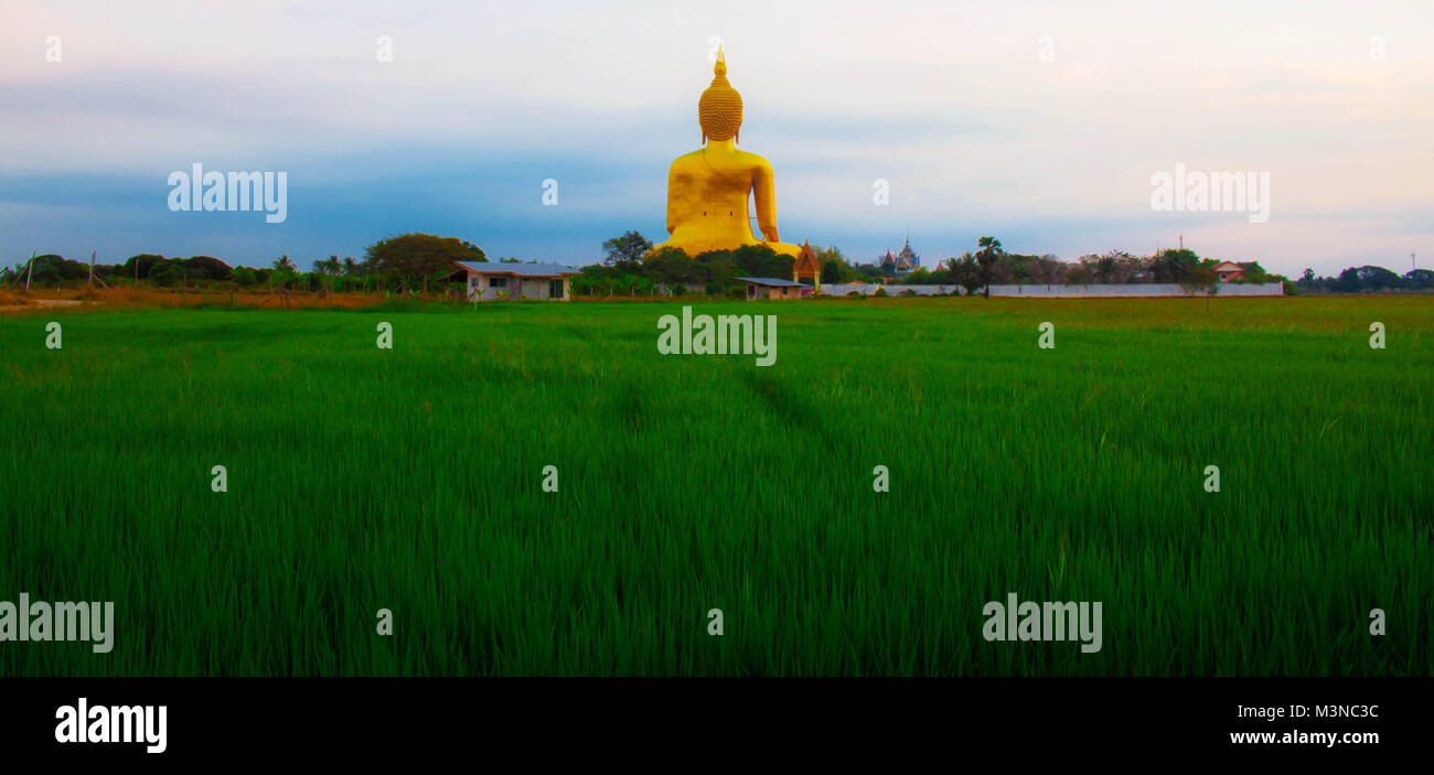 Buddha on the green field at morning Stock Photo - Alamy