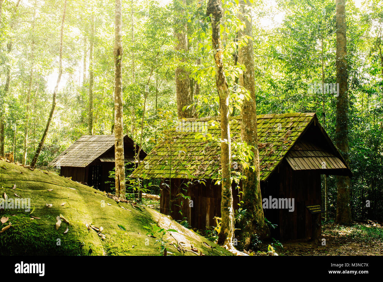 Wooden house of old and stone in forest Stock Photo - Alamy