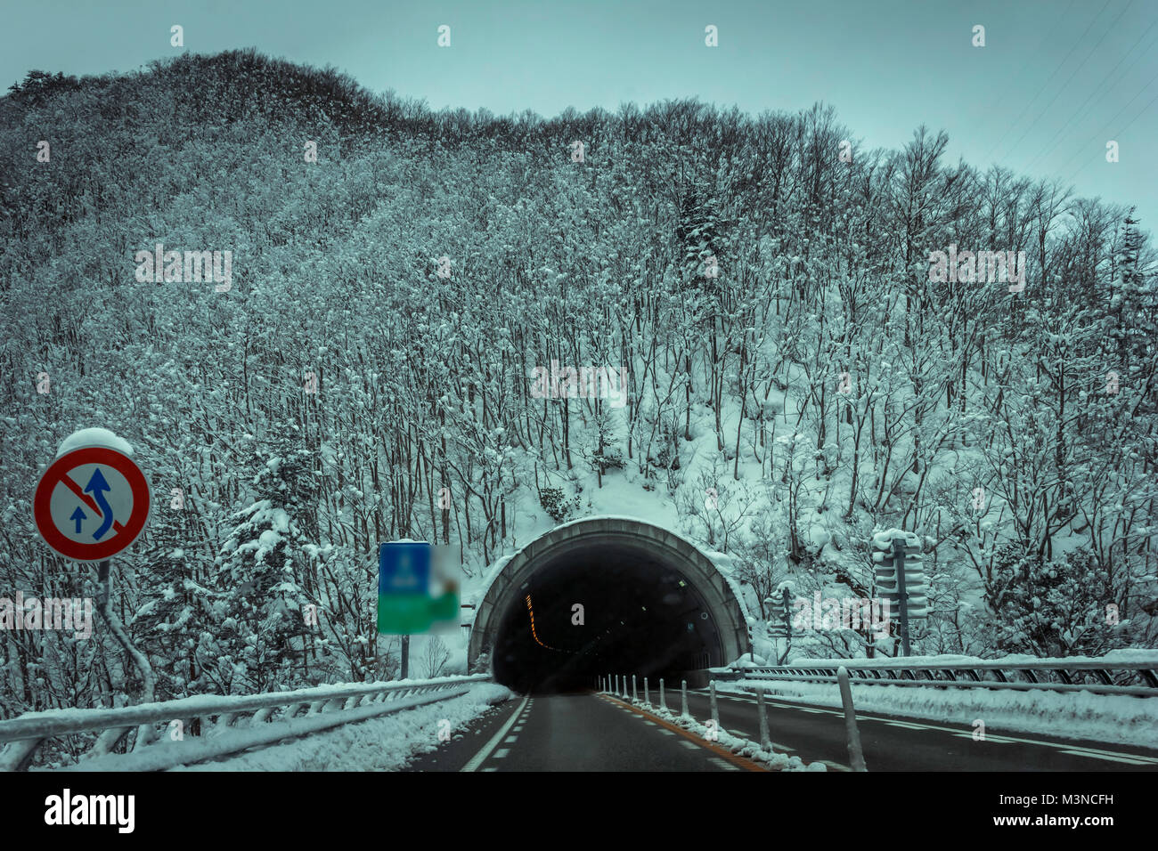Tunnel trees illustration hi-res stock photography and images - Alamy