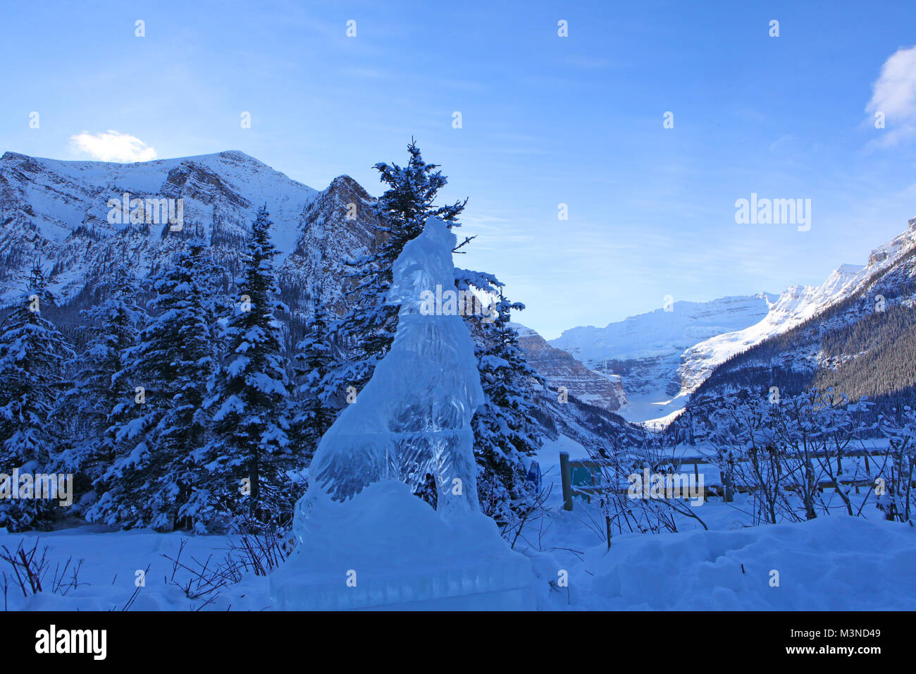 Ice carving of a timber wolf at Lake Louise Ice carving carnival, Lake ...