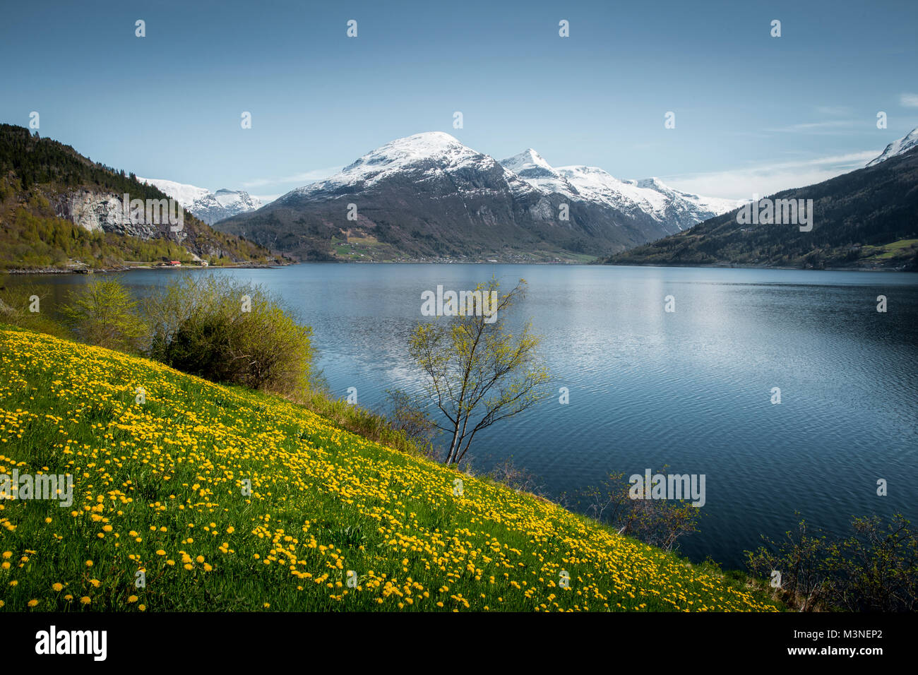 Springtime in Norway Stock Photo - Alamy