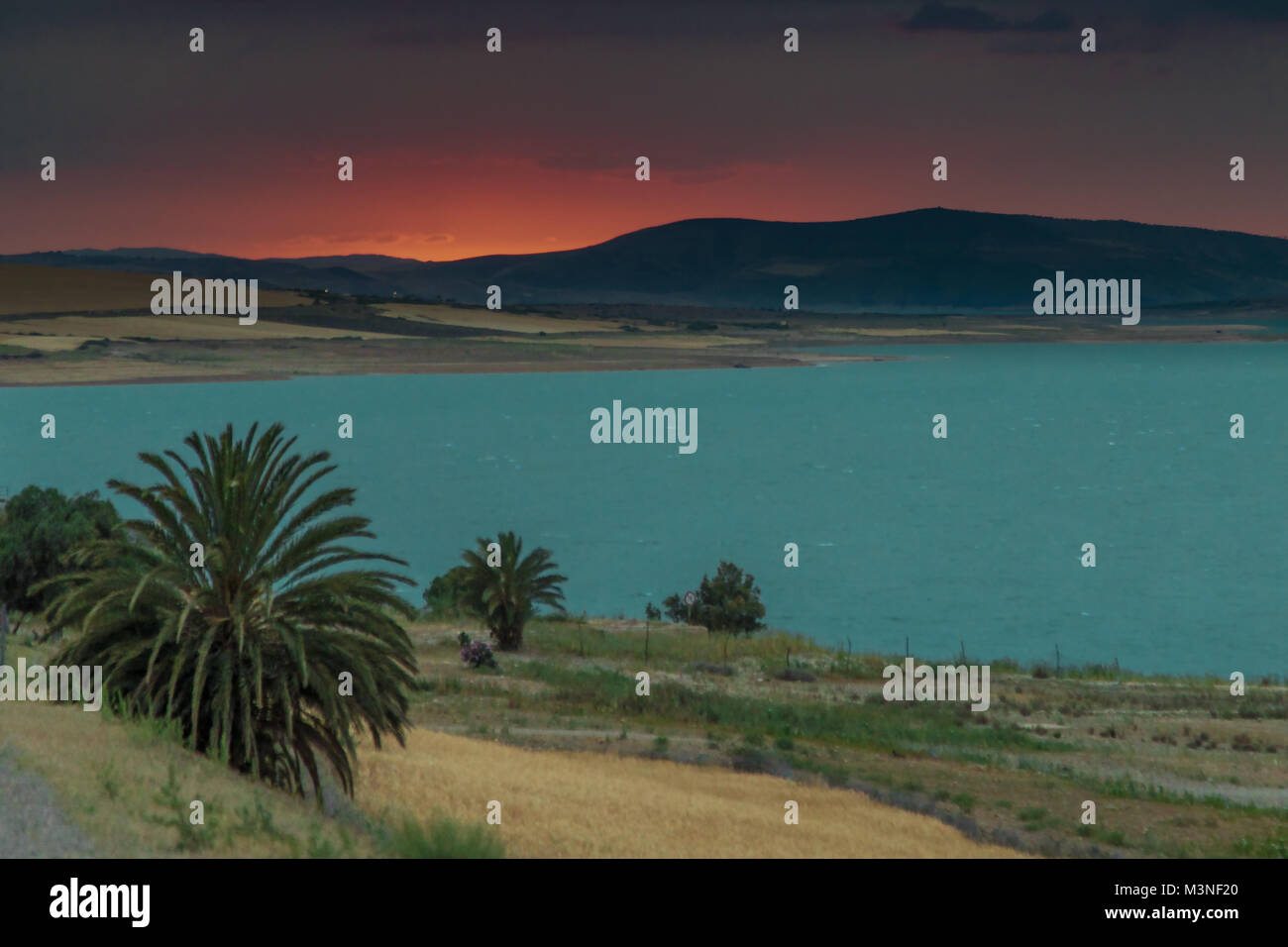 Red sunset light blue water lake windy palm tree Morocco Stock Photo ...
