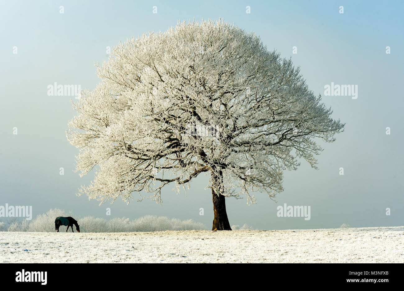 Winter scene in the Lancashire countryside deep frost and snow with a ...