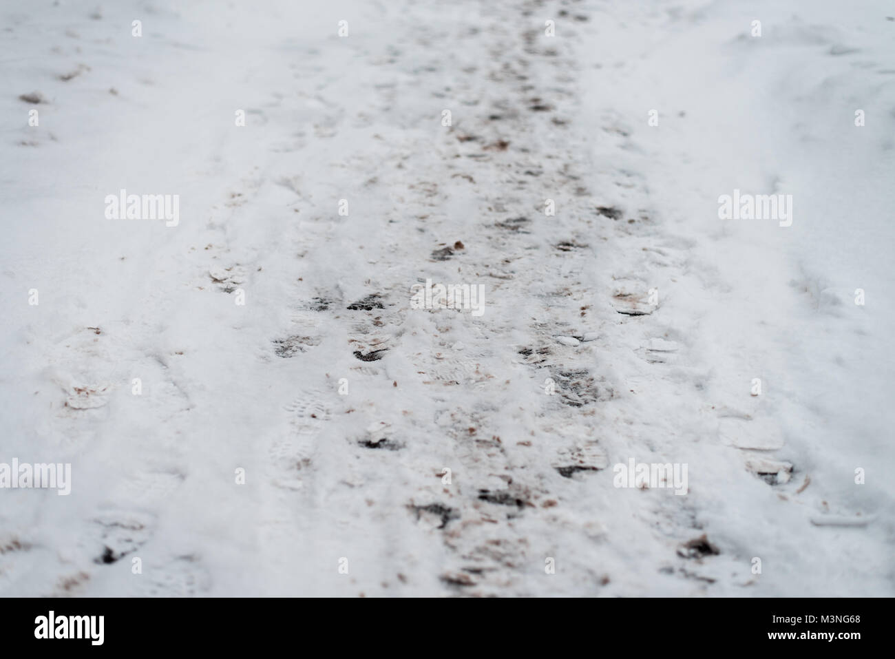 Footprints of pedestrians on the crossing in winter on snow. A lot of ...