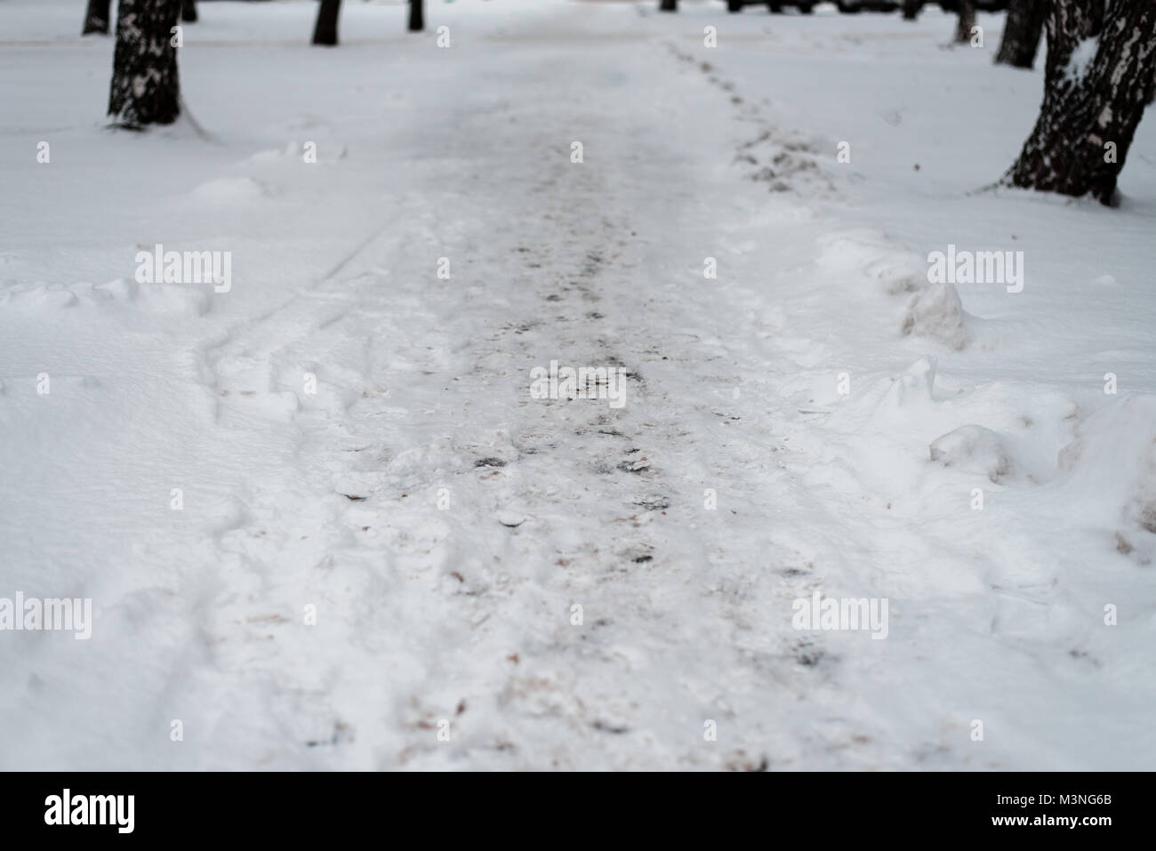 Footprints of pedestrians on the crossing in winter on snow. A lot of ...