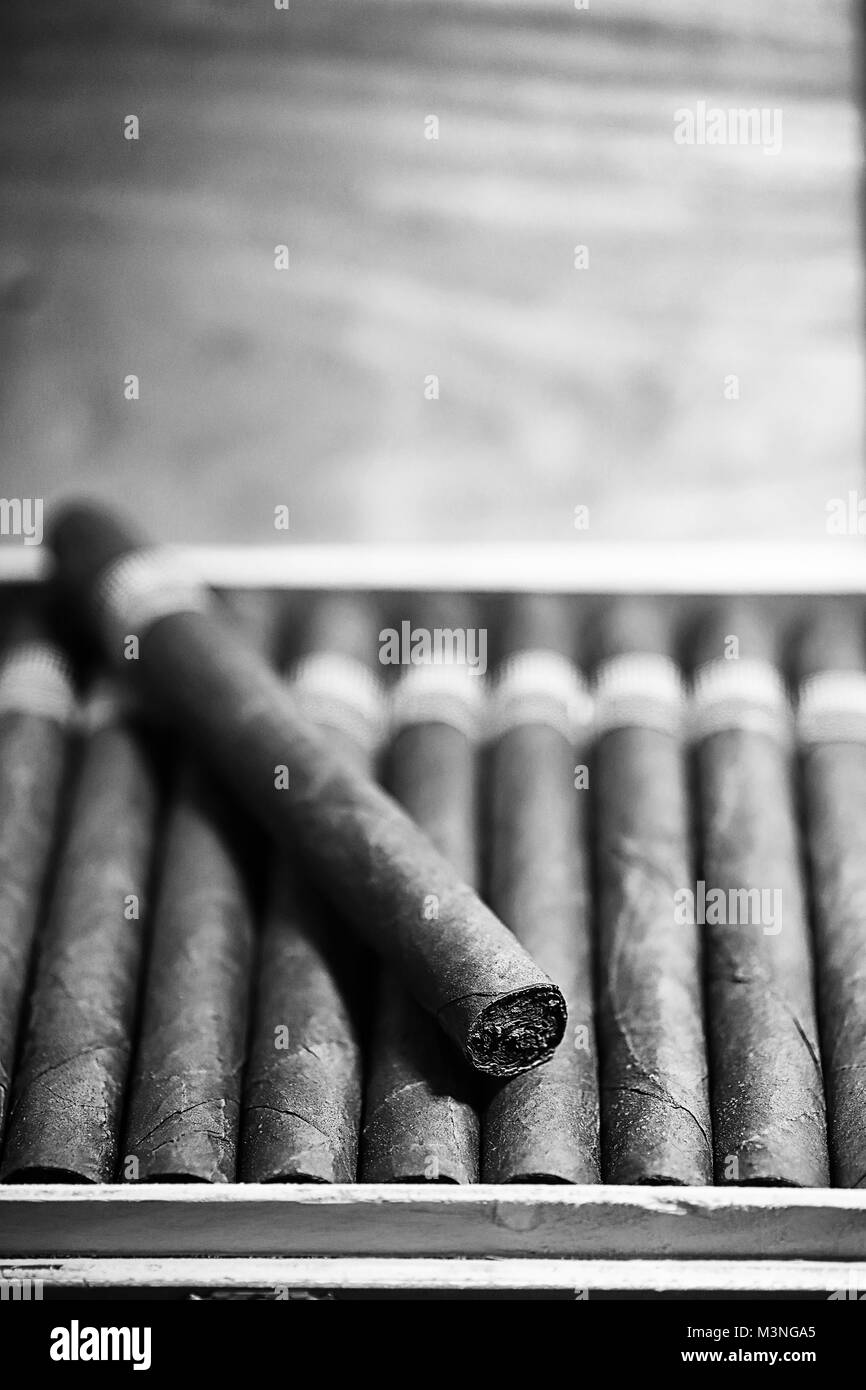 monochrome photo of large wooden box of cigars handmade Cuban Stock ...