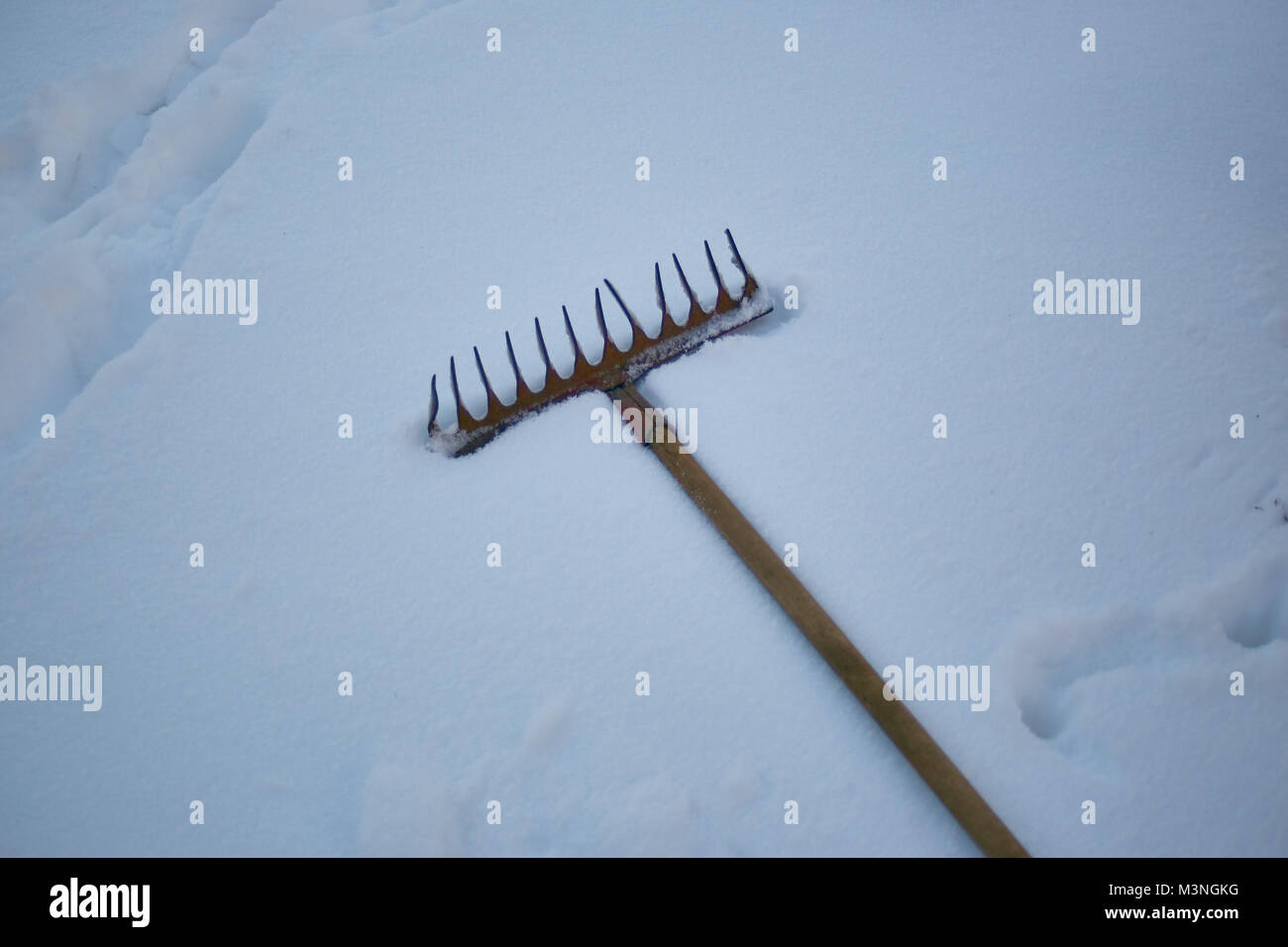 Rake pusher hi-res stock photography and images - Alamy