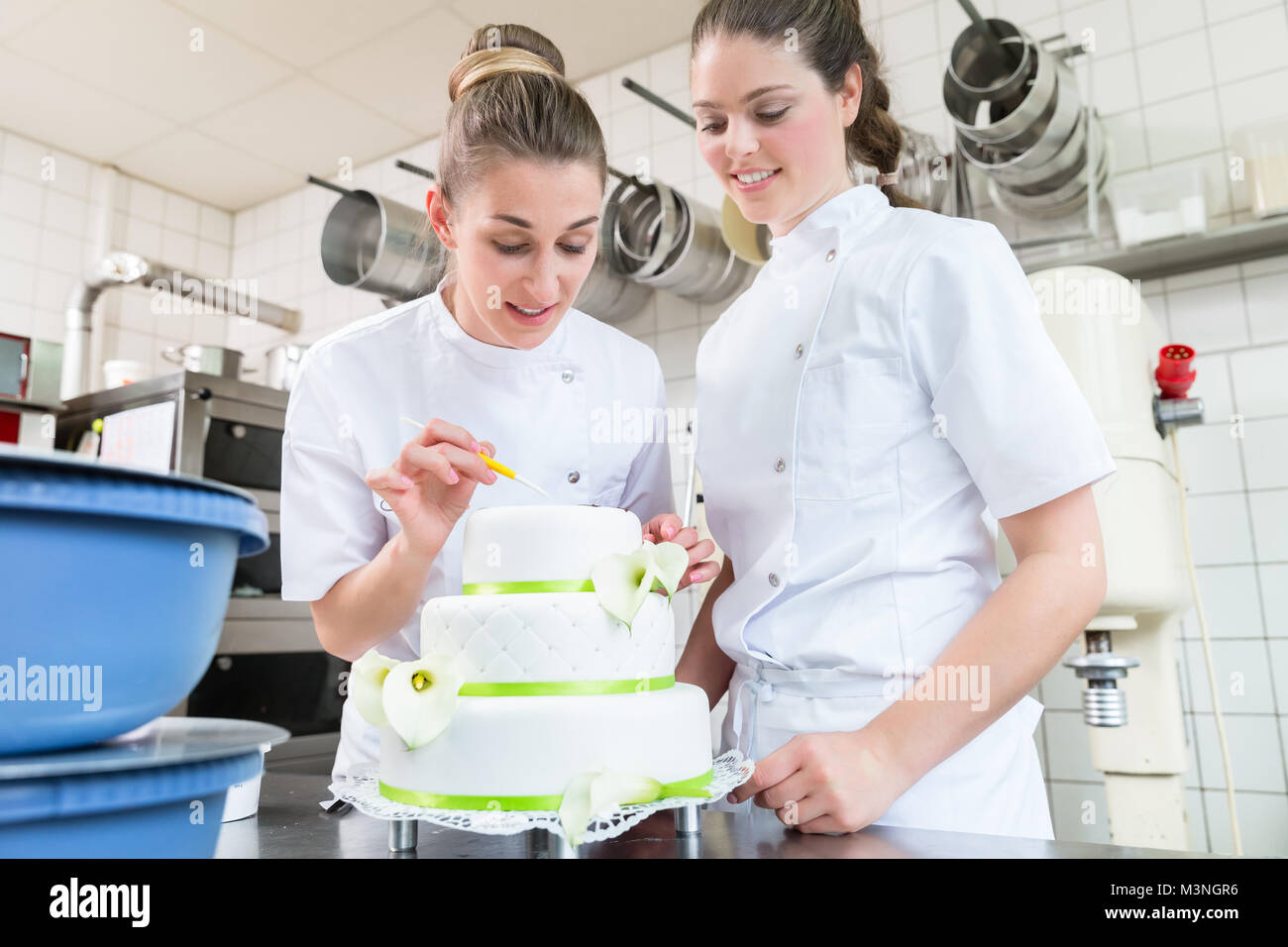 Two pastry bakers decorating large cake in bakery workshop Stock Photo ...