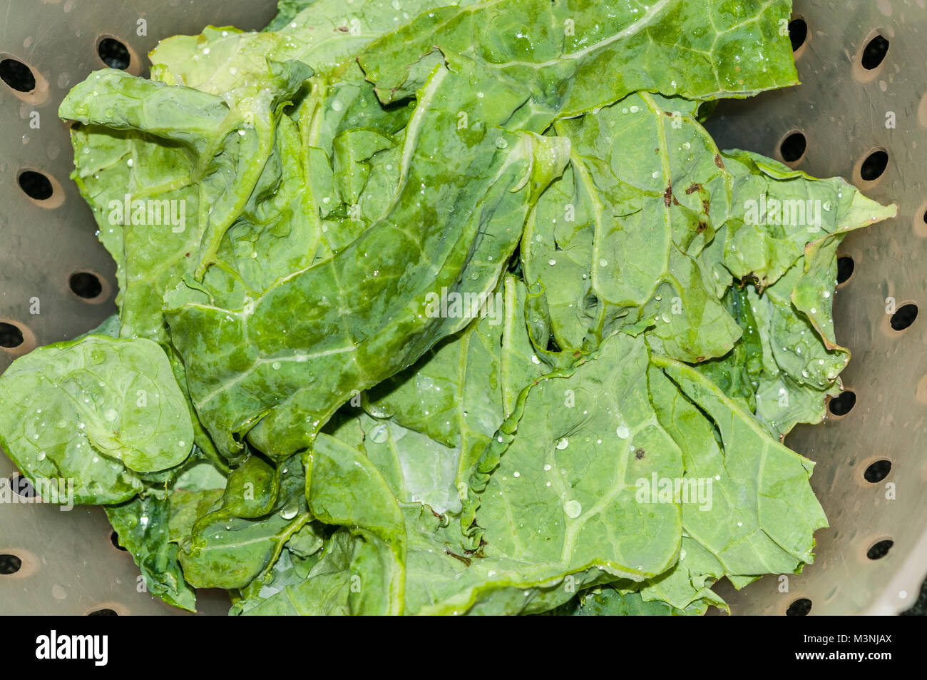 cabbage cleaning, drainer Stock Photo - Alamy