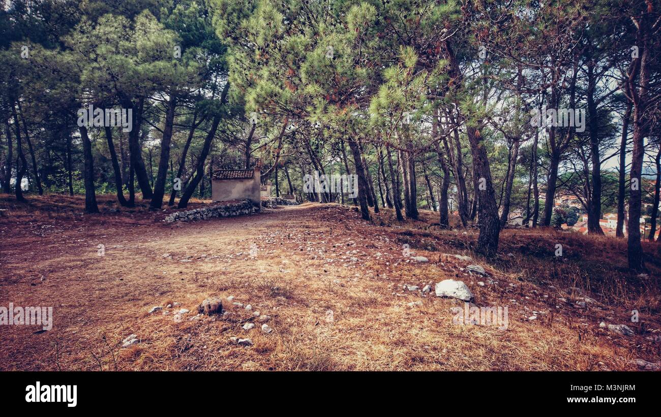 Mali landscape hi-res stock photography and images - Alamy