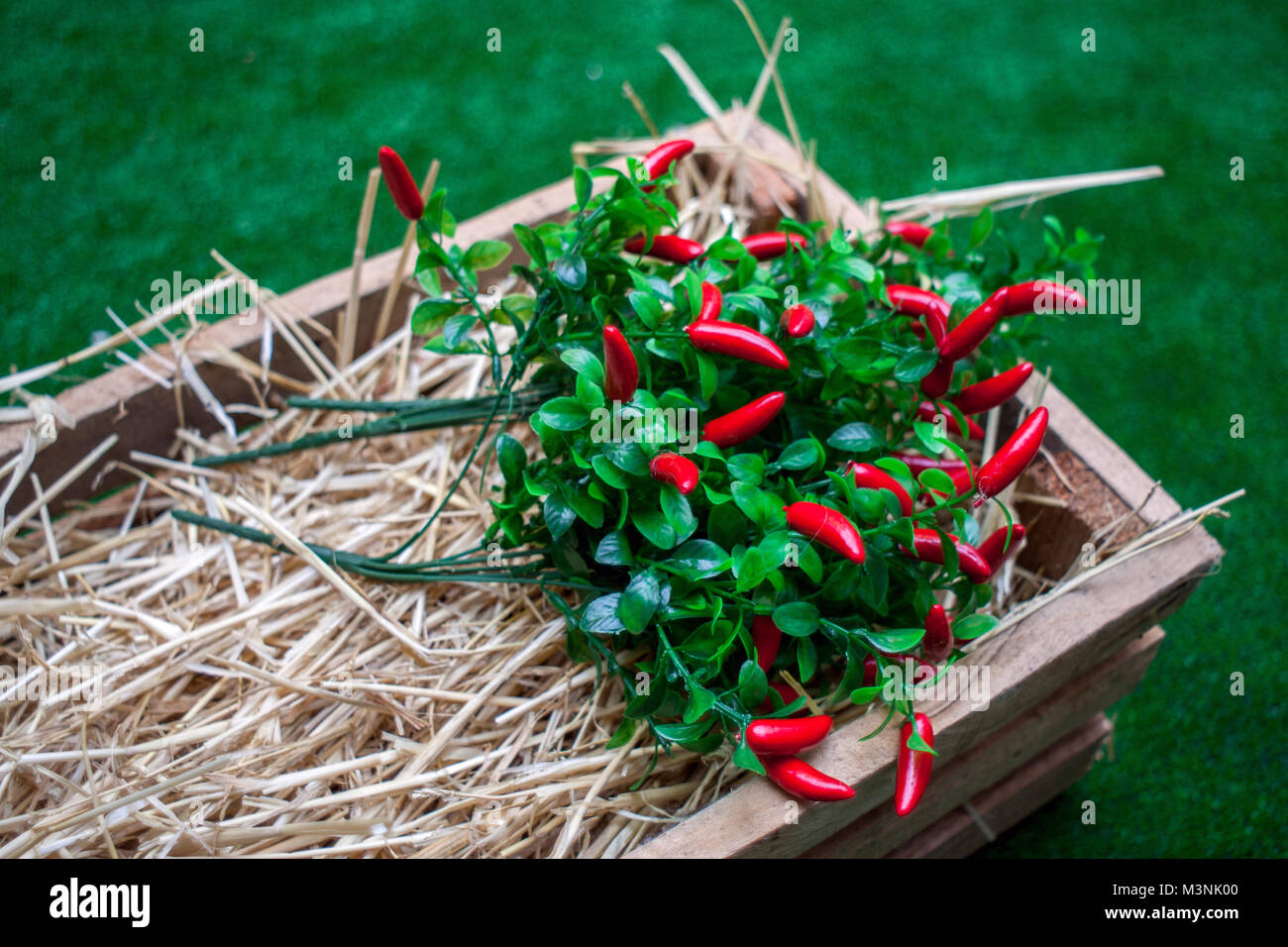 Three dried spicy peppers hi-res stock photography and images - Alamy