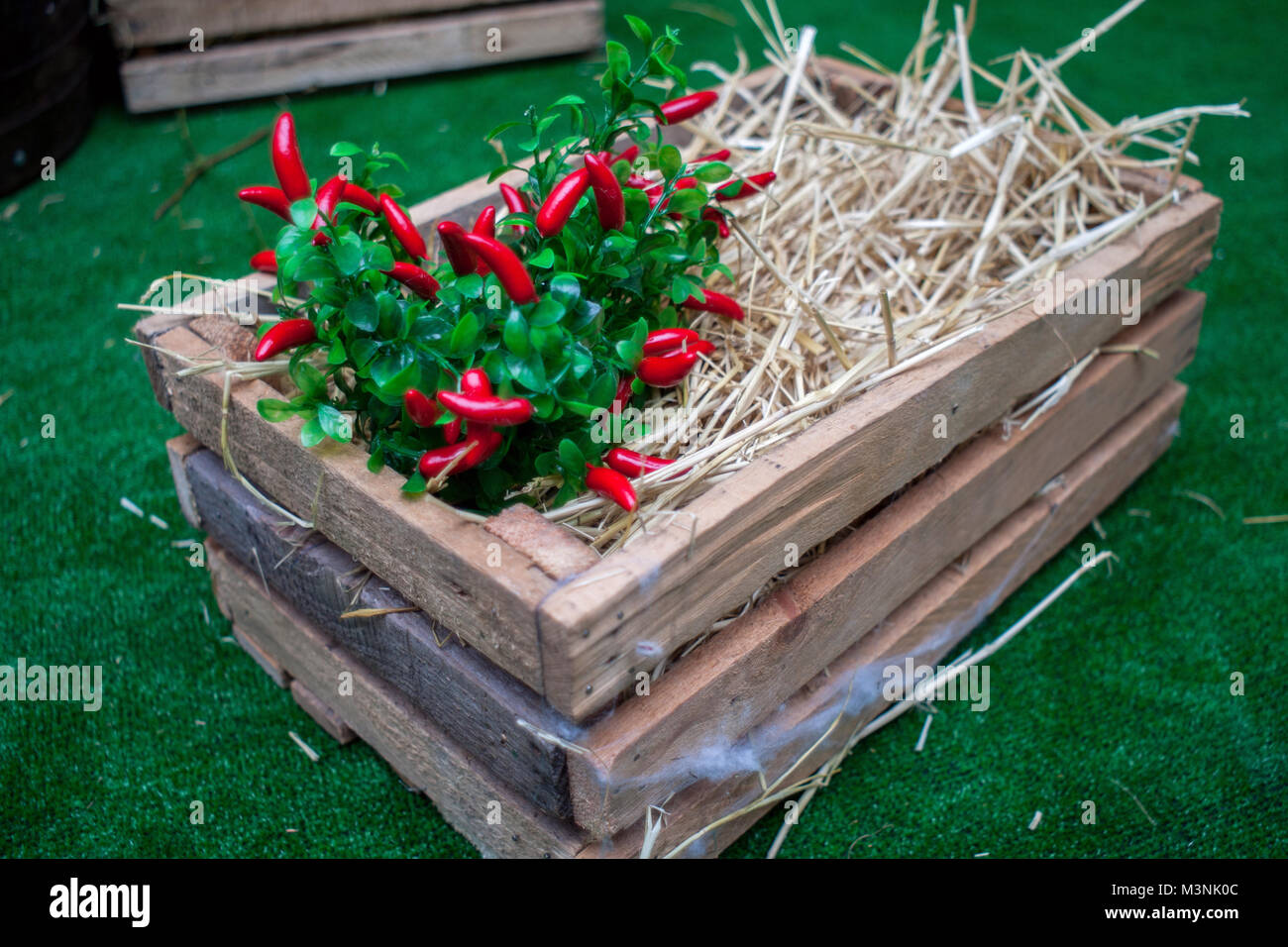 Sweet red pepper kapi, three peppers on white wooden table Stock Photo ...