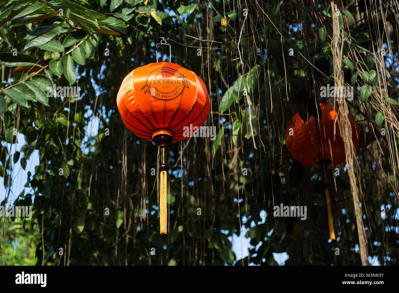 traditional Vietnamese tree decoration in Hoi An Stock Photo - Alamy