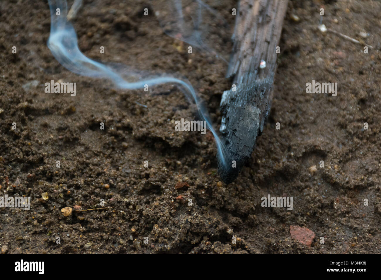 Grey smoke rising from a burned and blackened tip of a piece of wood ...