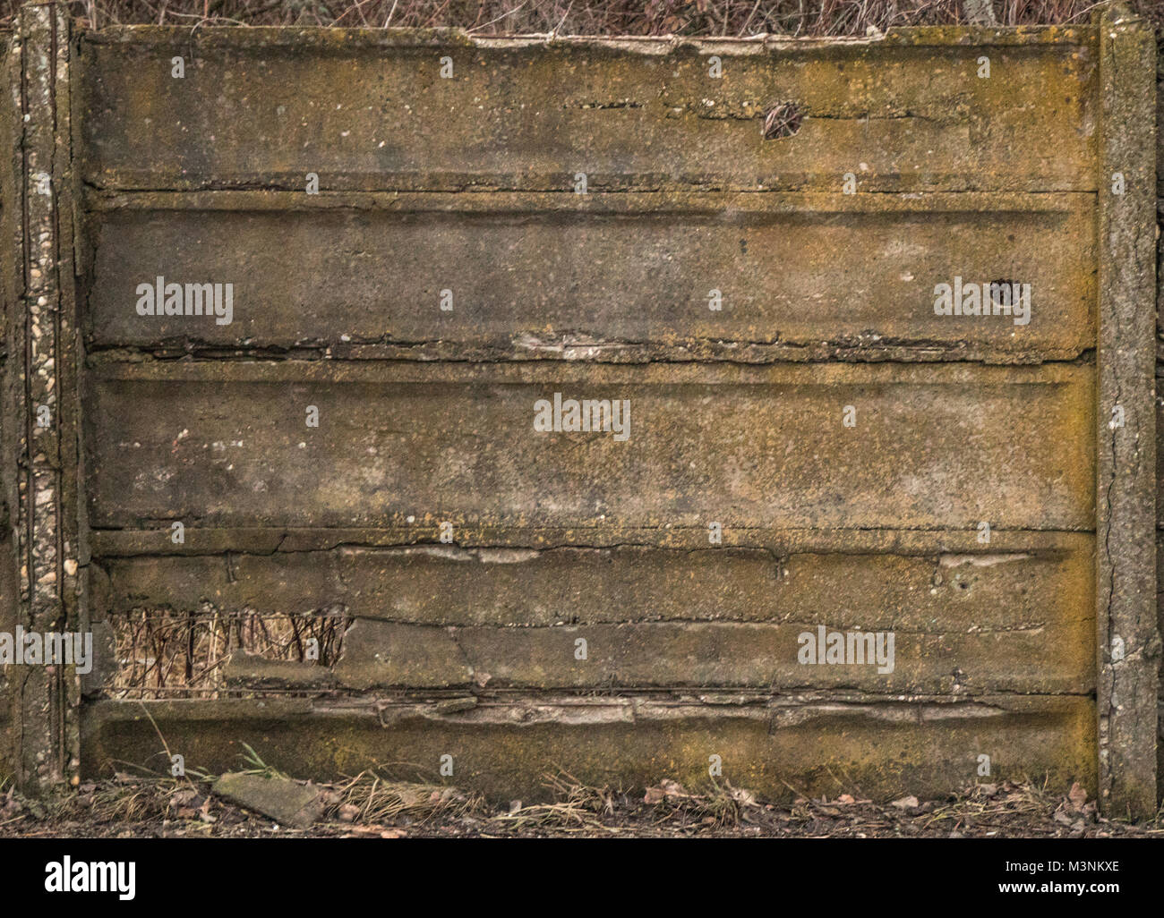 Concrete fence wall hi-res stock photography and images - Alamy
