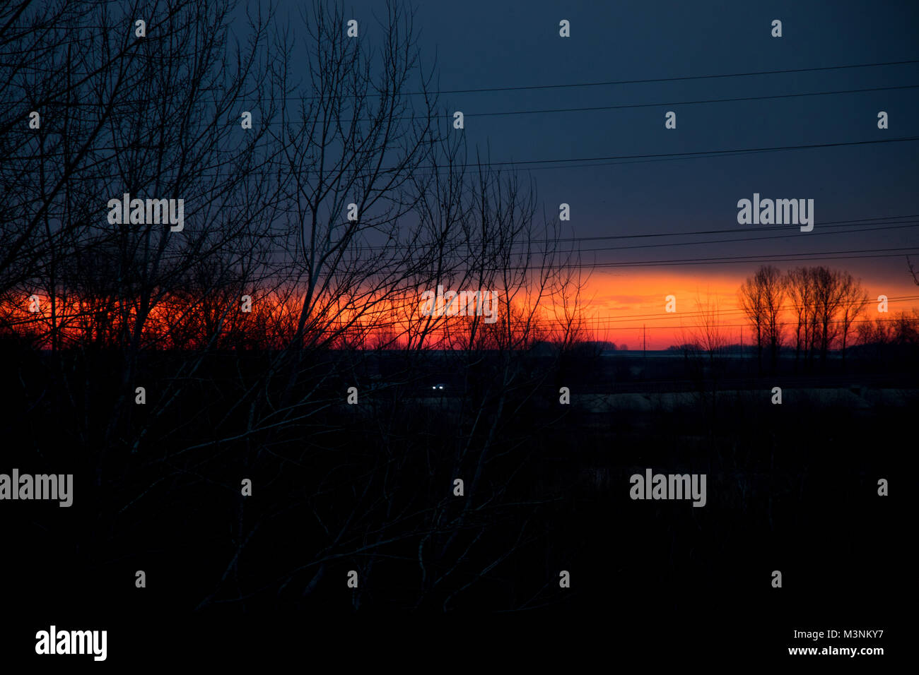 Sunset through the trees scene Stock Photo - Alamy