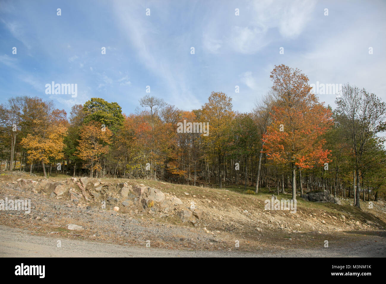 Fall forest landscape in Quebec, canada Stock Photo - Alamy