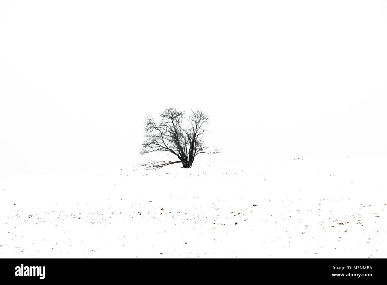 Lonely rain Cut Out Stock Images & Pictures - Alamy