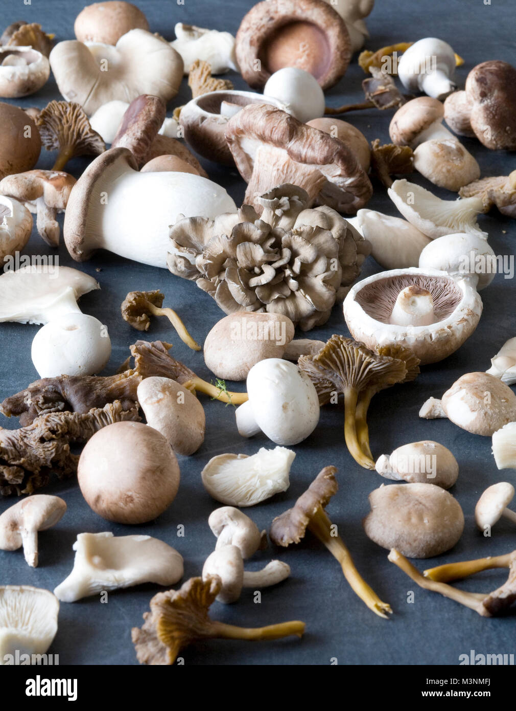 Farmed fungi hi-res stock photography and images - Alamy