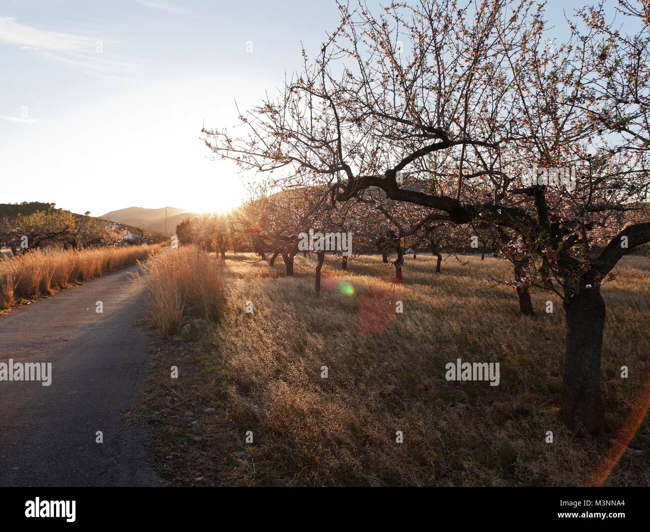 Warm region spain hi-res stock photography and images - Alamy