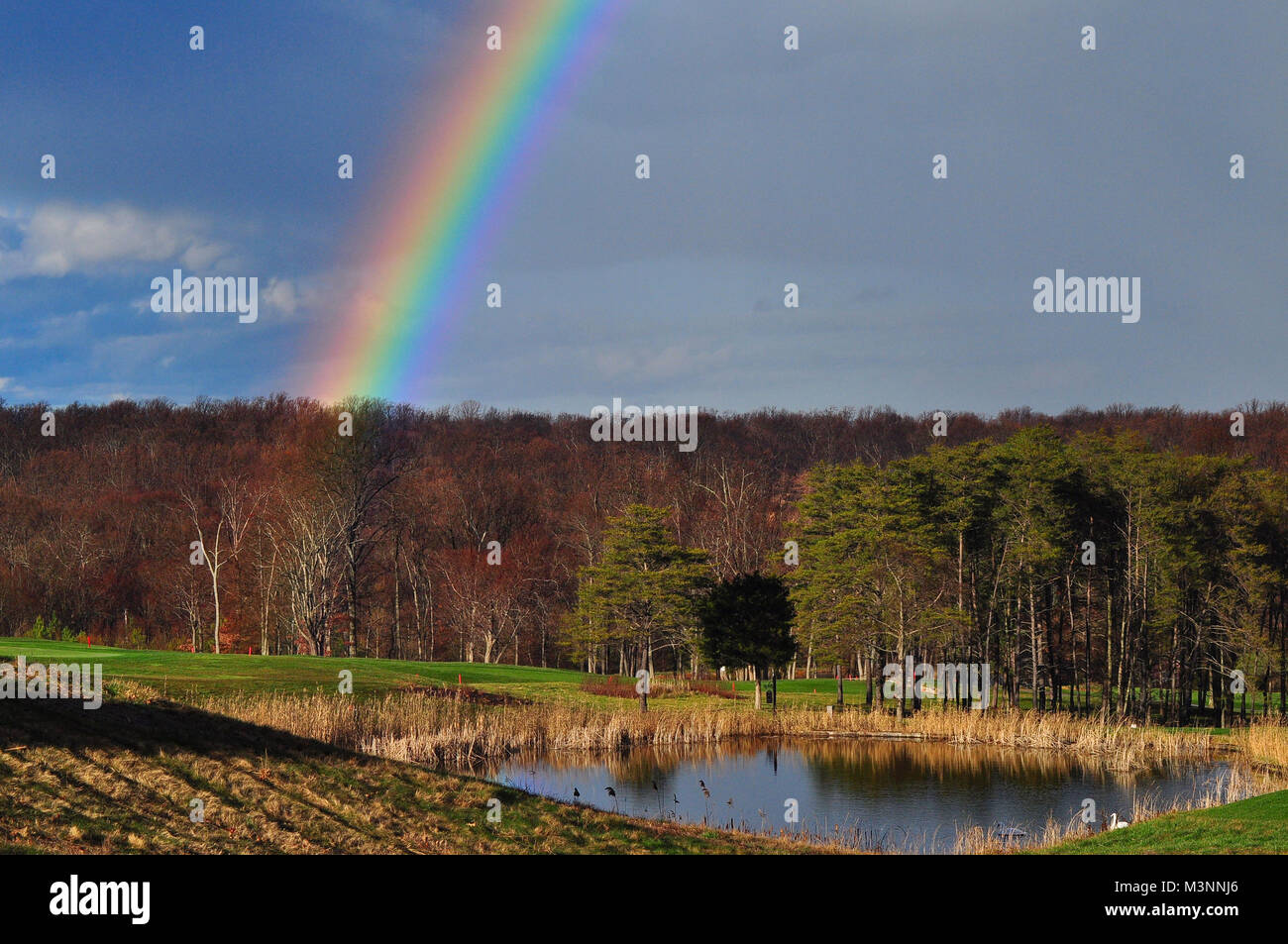 Rainbow on 18th hole of golf course Stock Photo - Alamy