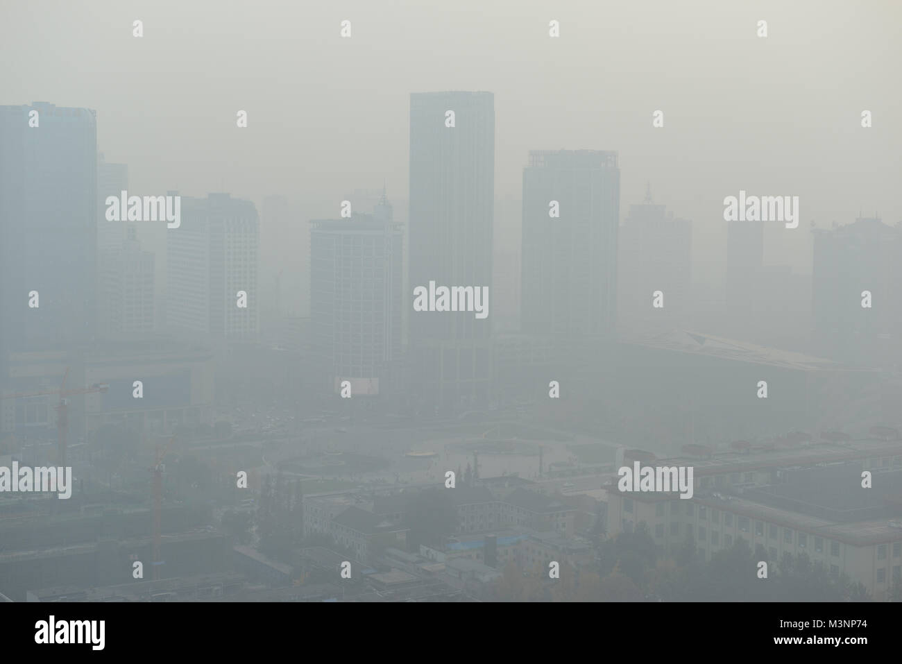 Global overpopulation hi-res stock photography and images - Alamy