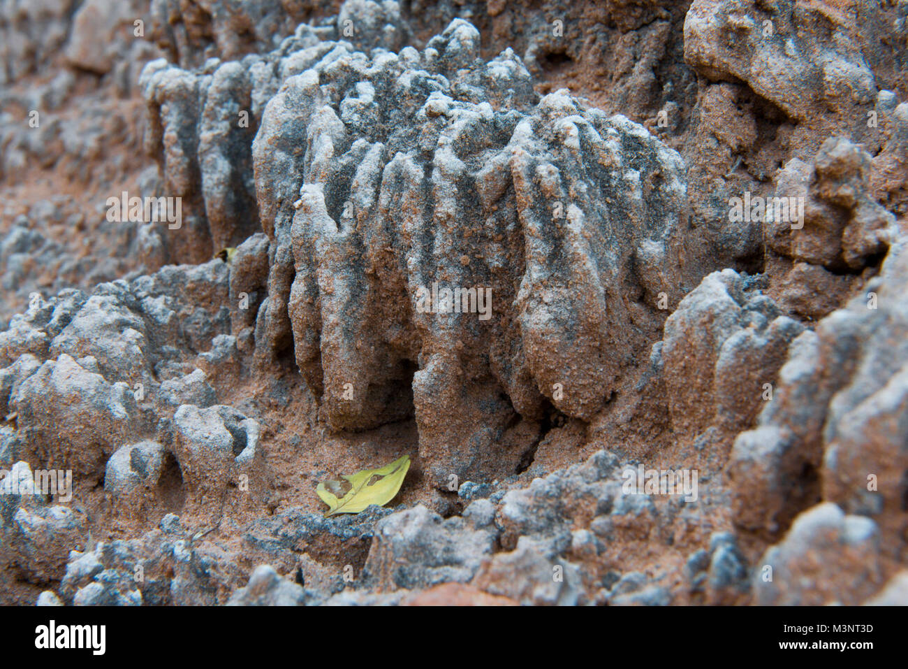 Cold winters (frost heaving) cause the high relief of soil Stock Photo ...