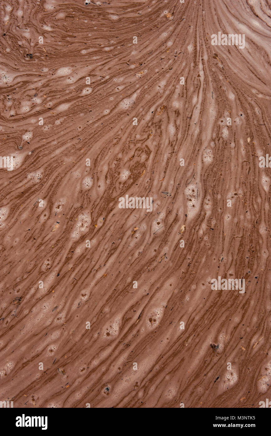 Foam Swirls in an Eddy Stock Photo - Alamy