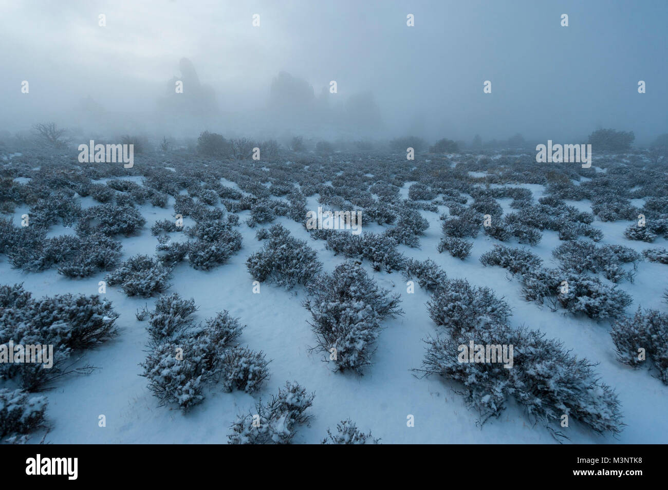 Foggy Morning in the Windows Area Stock Photo - Alamy