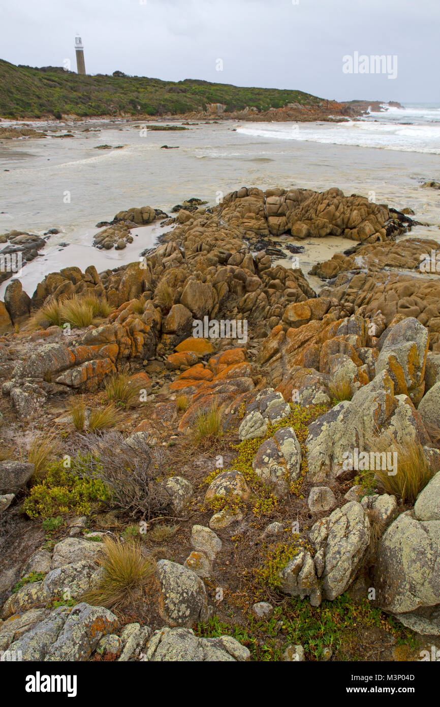 Eddystone point lighthouse tasmania hi-res stock photography and images ...