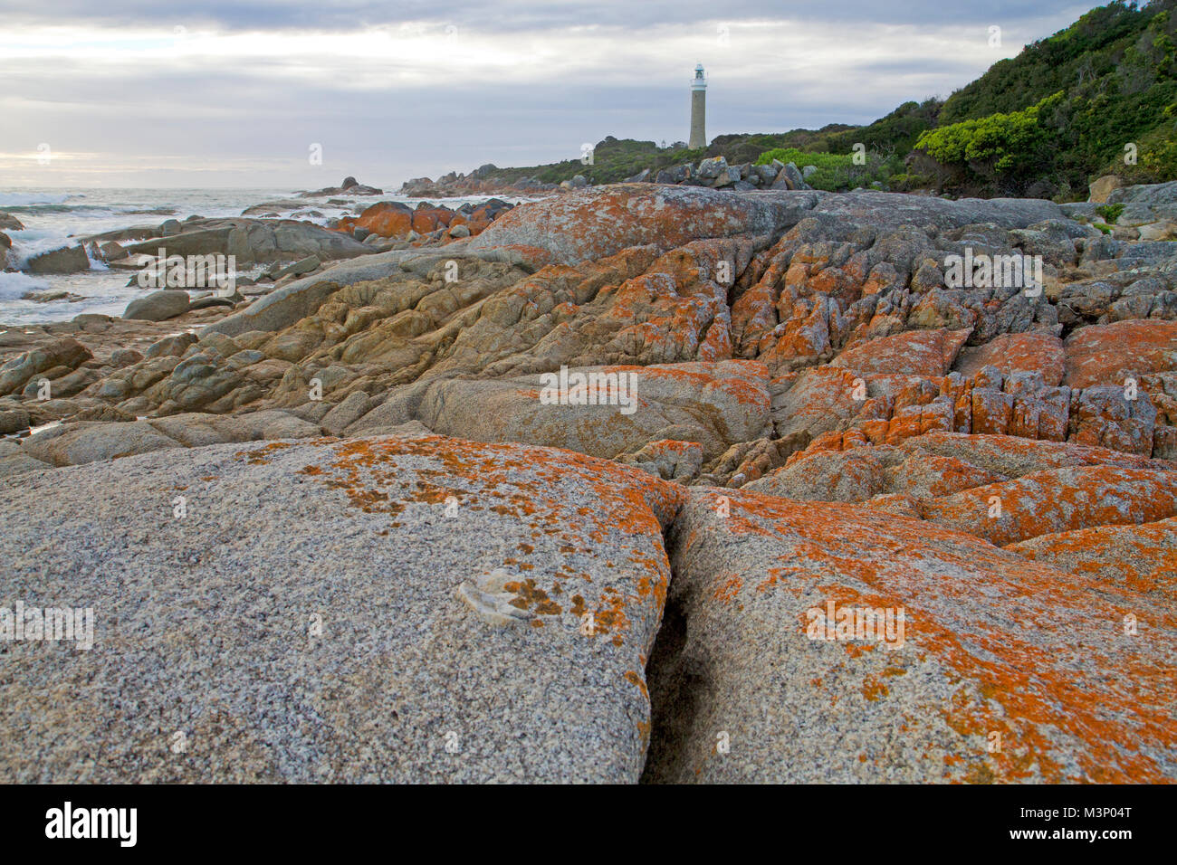 Lighthouse at eddystone point hi-res stock photography and images - Alamy