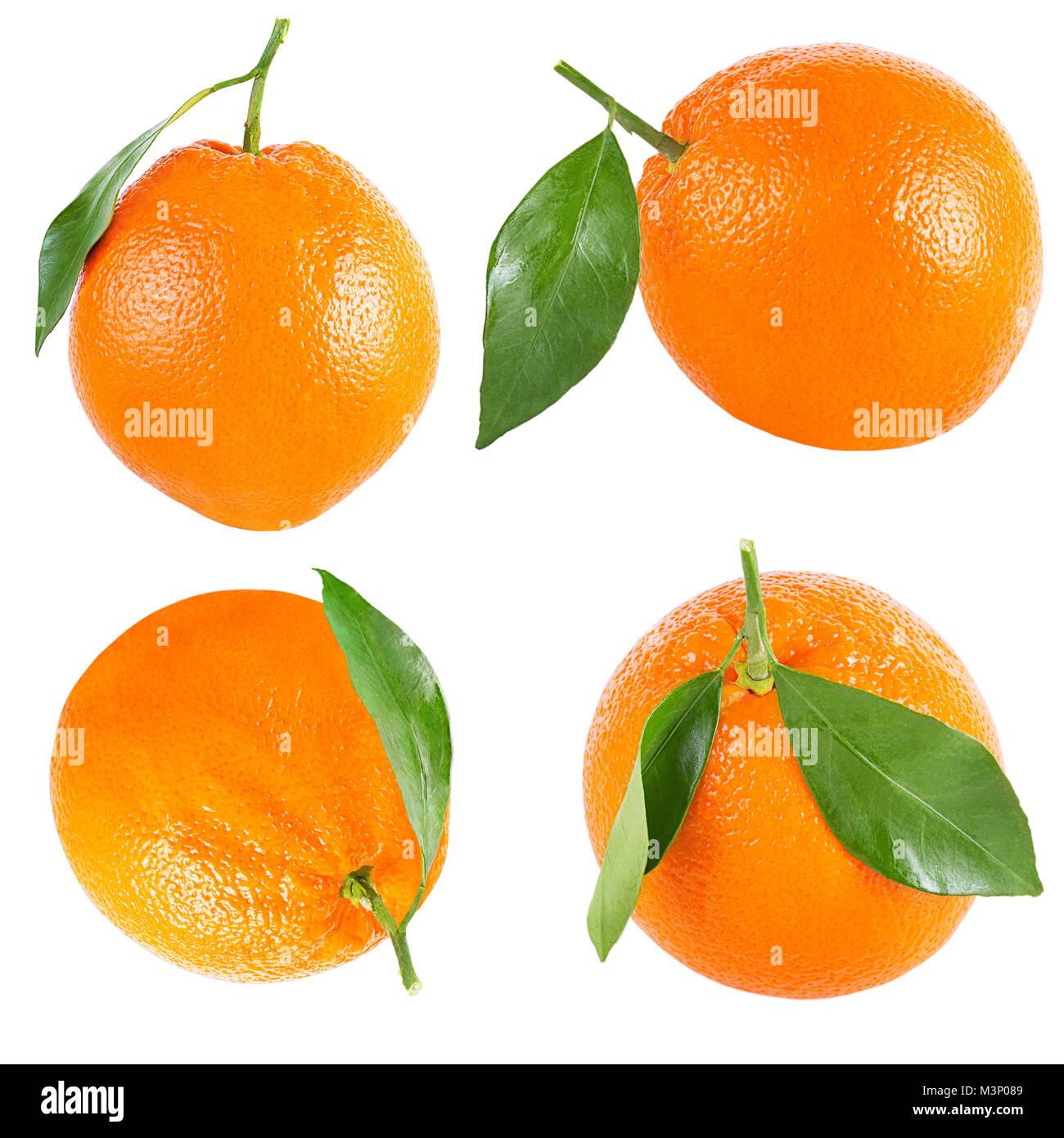 Isolated oranges. Collection of whole orange with leaf isolated on ...