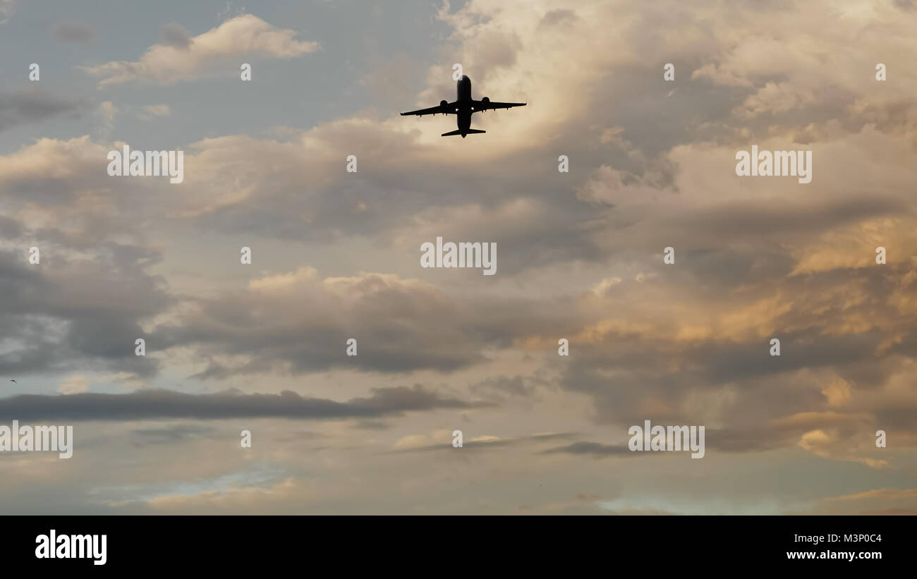 Passenger airplane taking off at sunset against the background of a ...