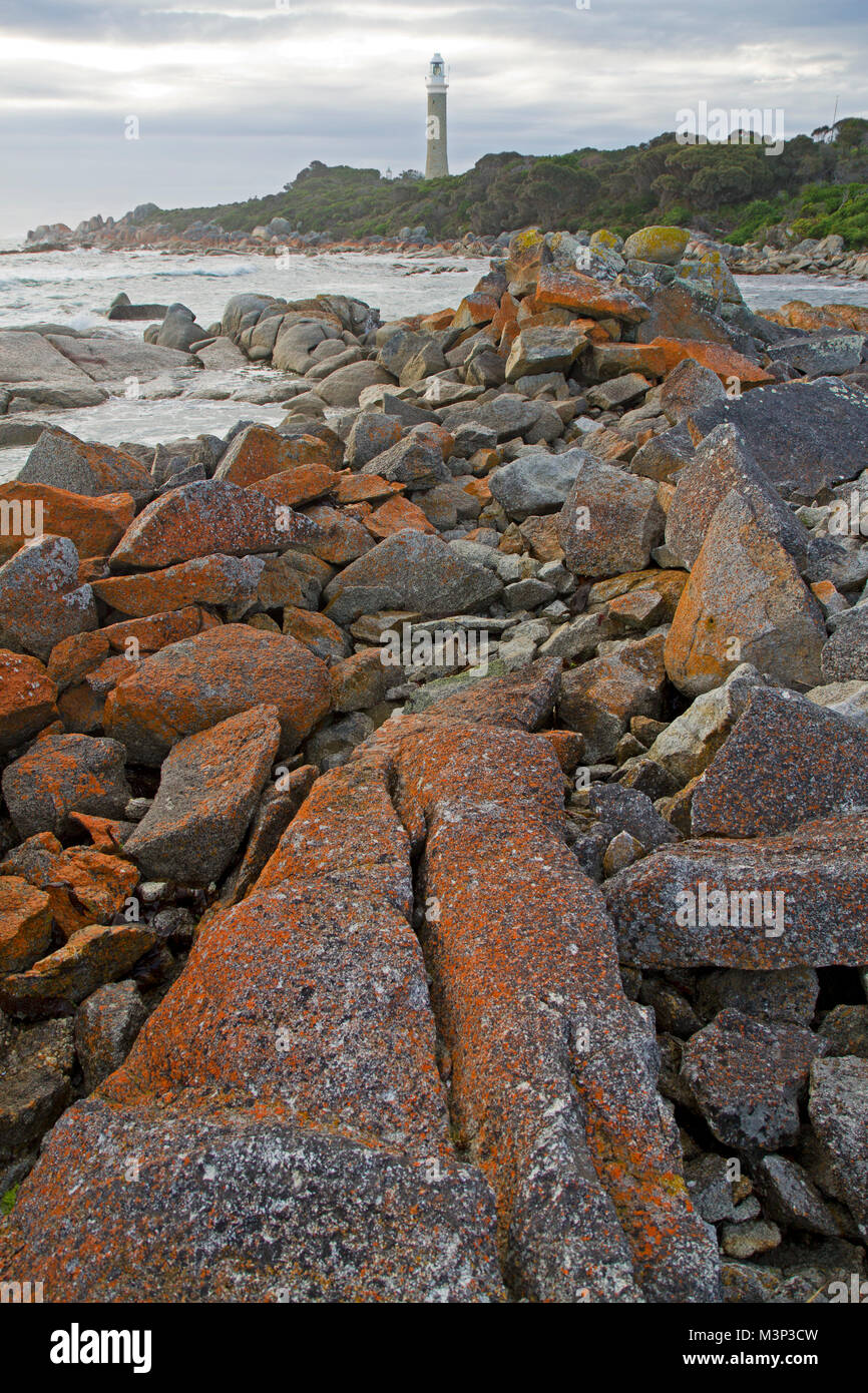 Eddystone Point Lighthouse Stock Photo - Alamy