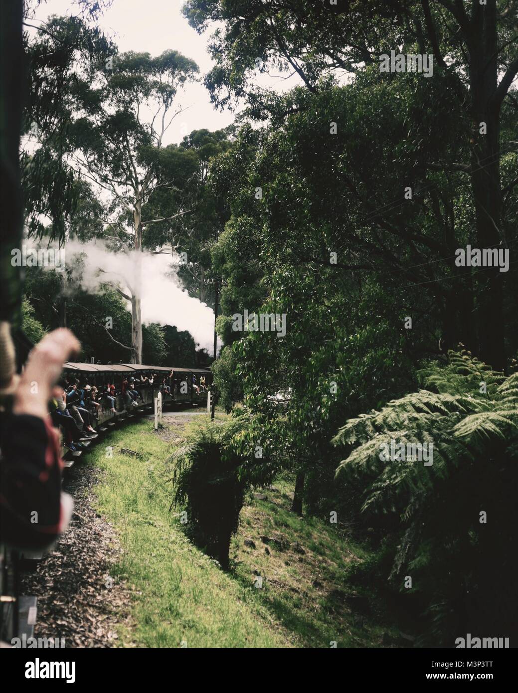 A view from the Puffing Billy train, the oldest railway in Australia ...