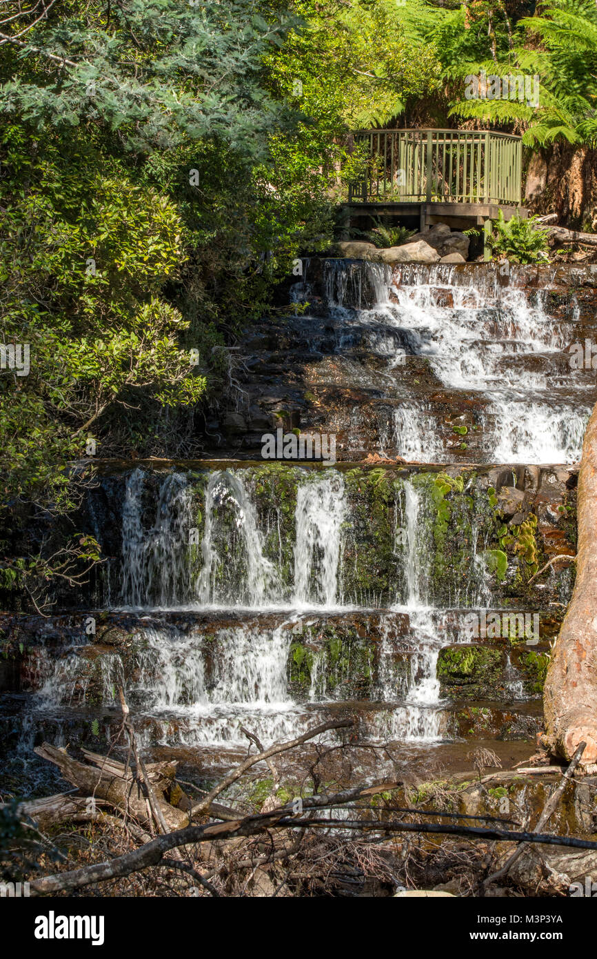 Upper Cascades, Liffey Falls, Tasmania, Australia Stock Photo - Alamy