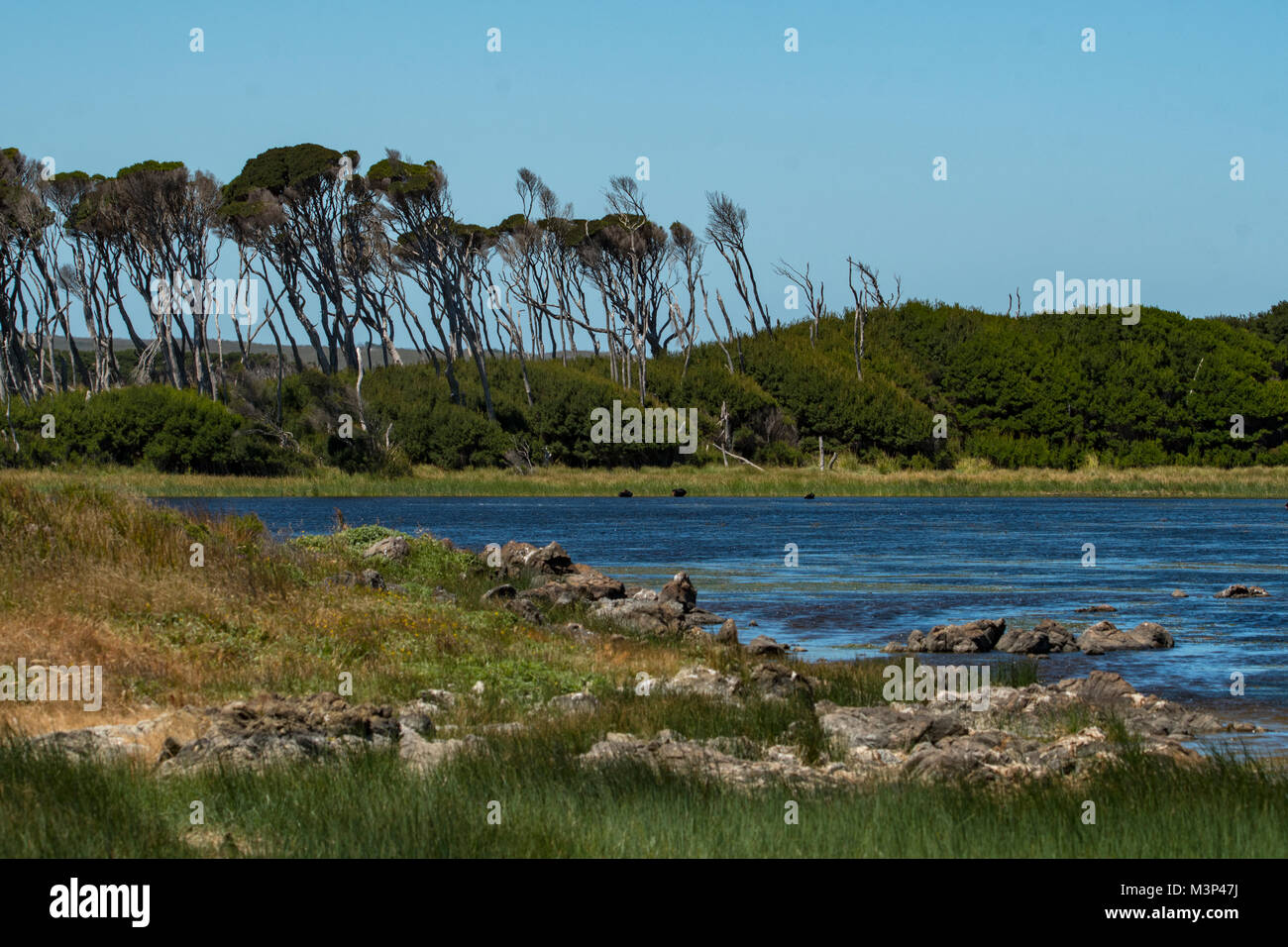 Rebecca Lagoon, Arthur-Pieman Conservation Area, Arthur River, Tasmania ...
