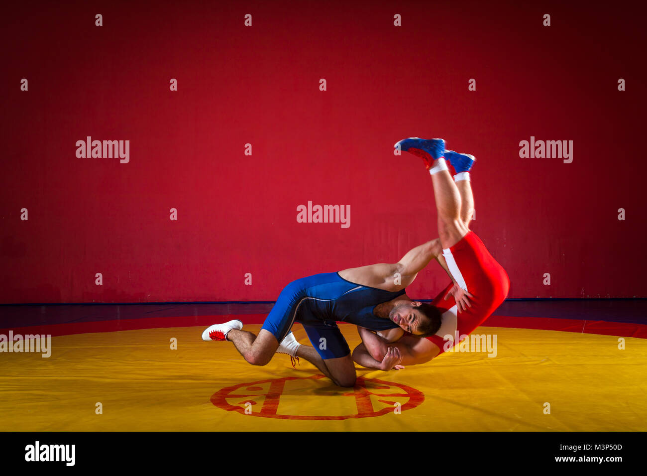 Two strong wrestlers in blue and red wrestling tights are wrestlng and ...