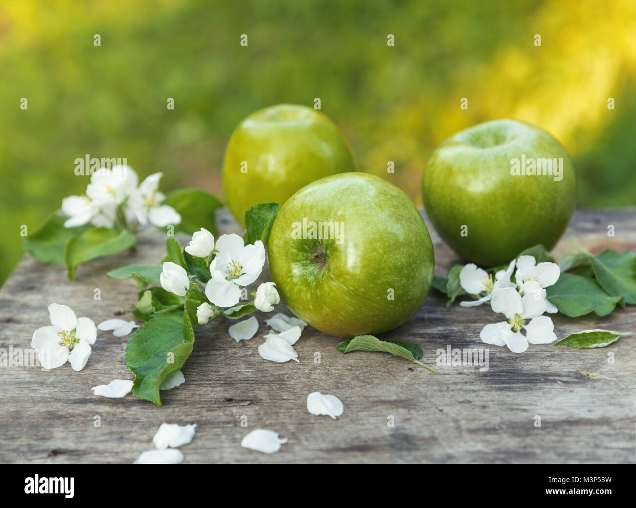 Fresh sweet juicy spring green apples with flowers on a wooden ...