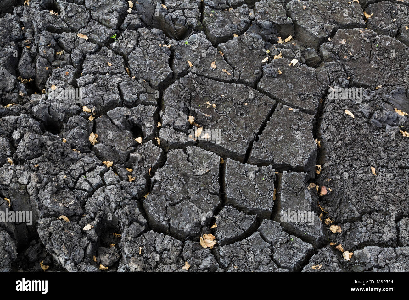 Dried swell-shrink clay in a seasonally dried waterhole Stock Photo - Alamy