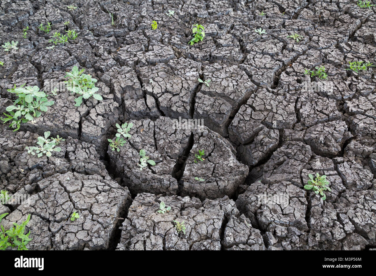 Fissured clay texture hi-res stock photography and images - Alamy