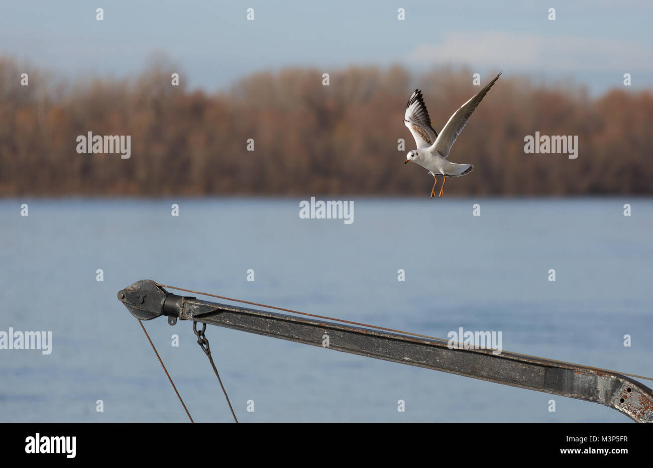 Flying river hi-res stock photography and images - Alamy