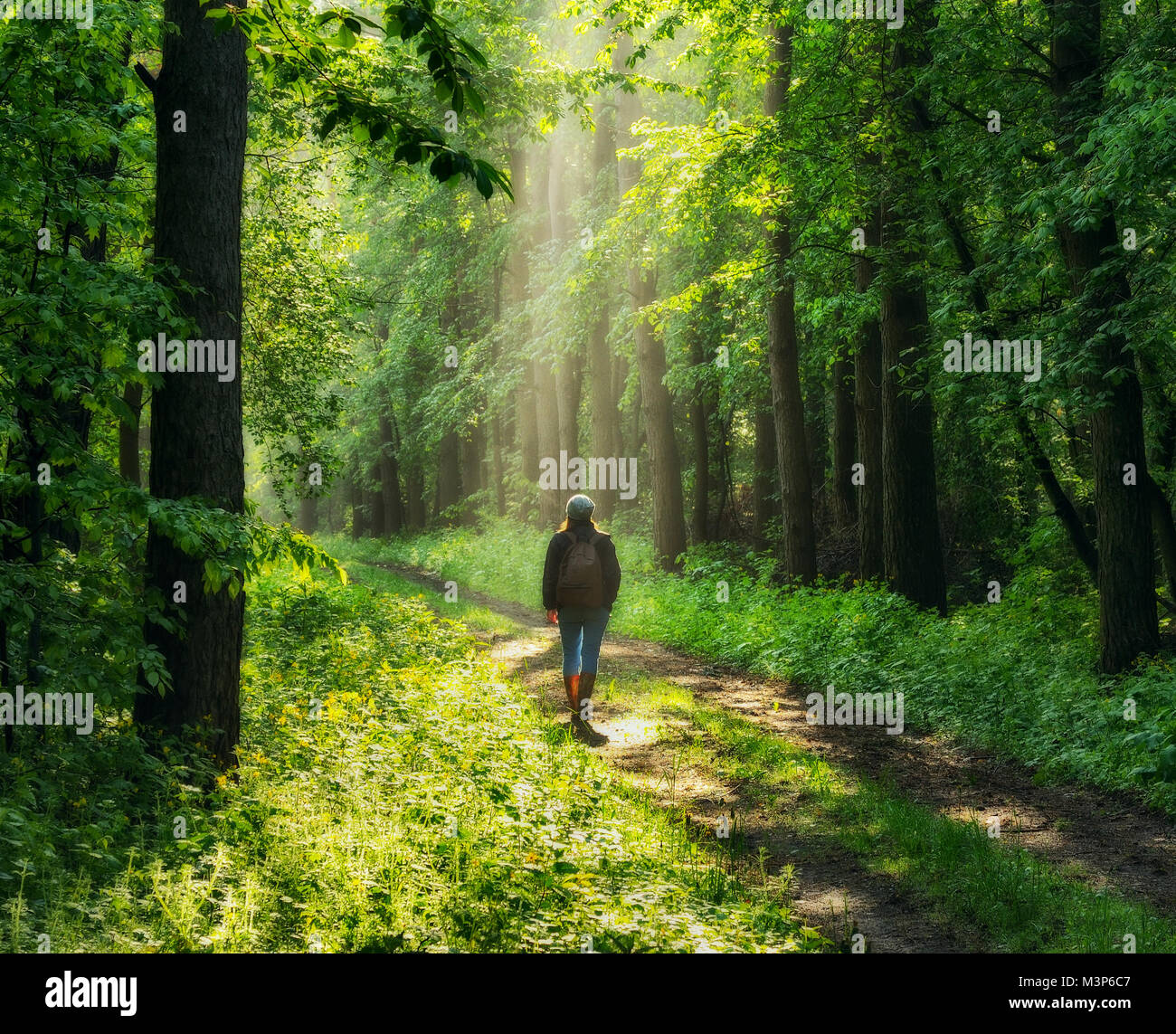 Female silence forest hi-res stock photography and images - Alamy
